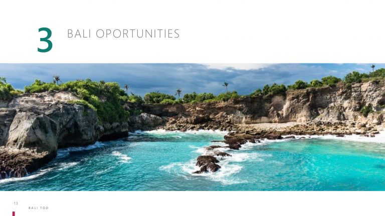 BALI RAILWAY OPPORTUNITIES PROJECT – DINAS PERHUBUNGAN PROVINSI BALI